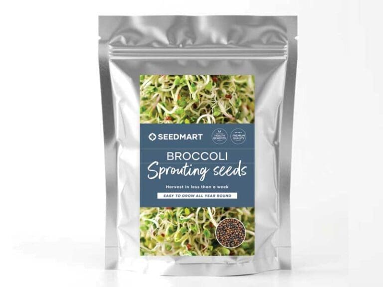 Sprouting Seeds | Fresh Nutritious Greens in Days