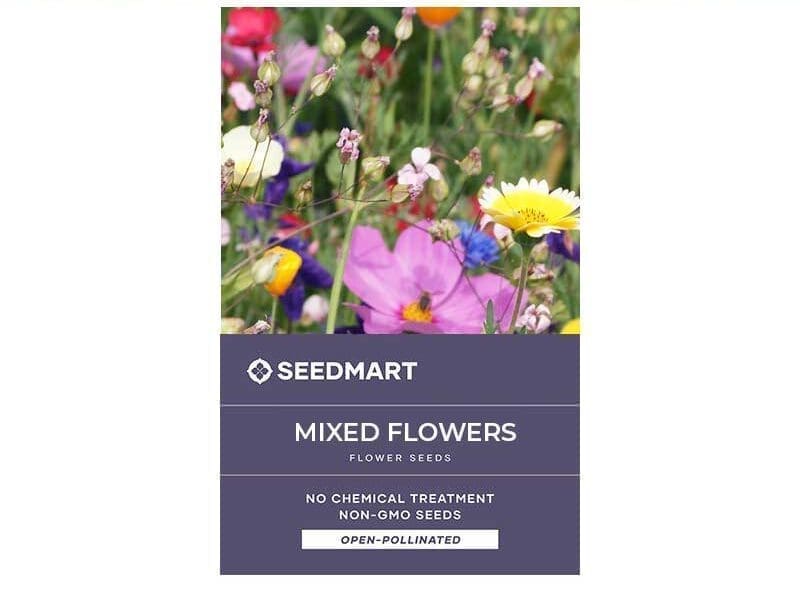 Beneficial Insect & Bee Seed Mix | Attract Pollinators